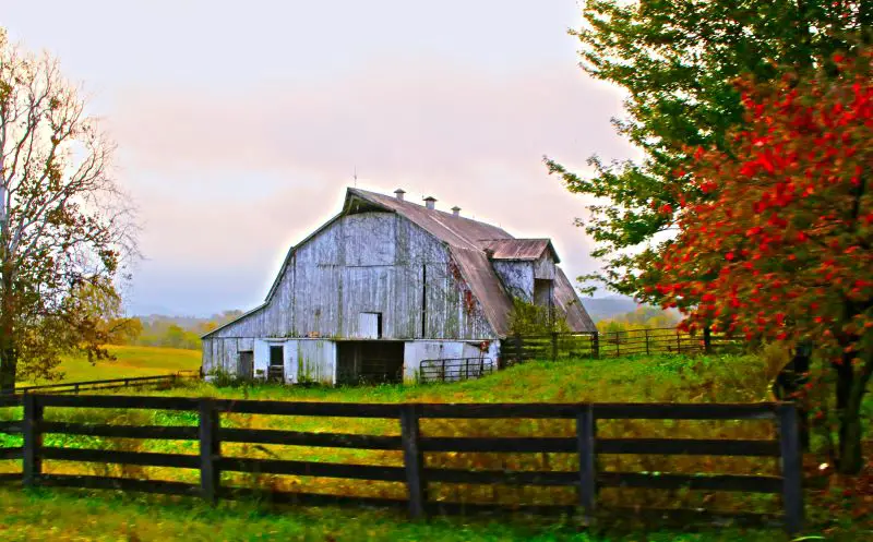 25 Best Places to See Fall Colors In Kentucky * Where I've Been